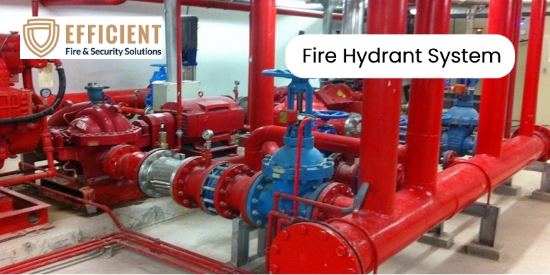 Understanding Fire Hydrant Systems? | Blog